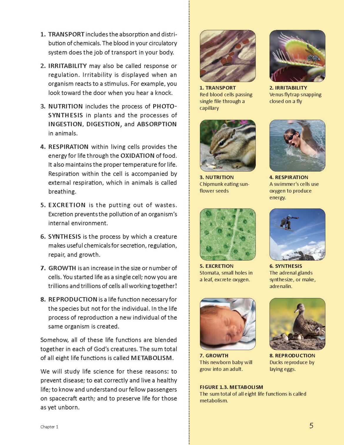 Life Science - Catholic Heritage Curricula