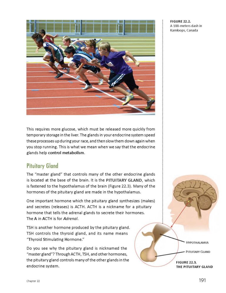 Life Science - Catholic Heritage Curricula